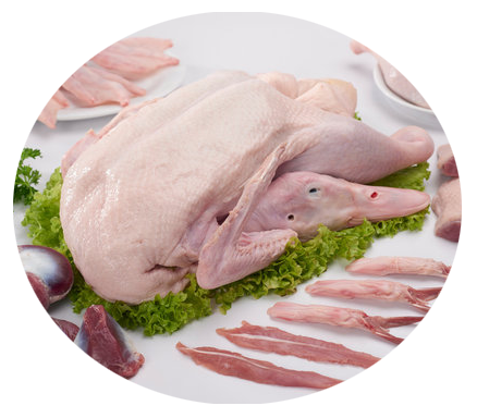 Duck Meat – LENATUREL MEAT